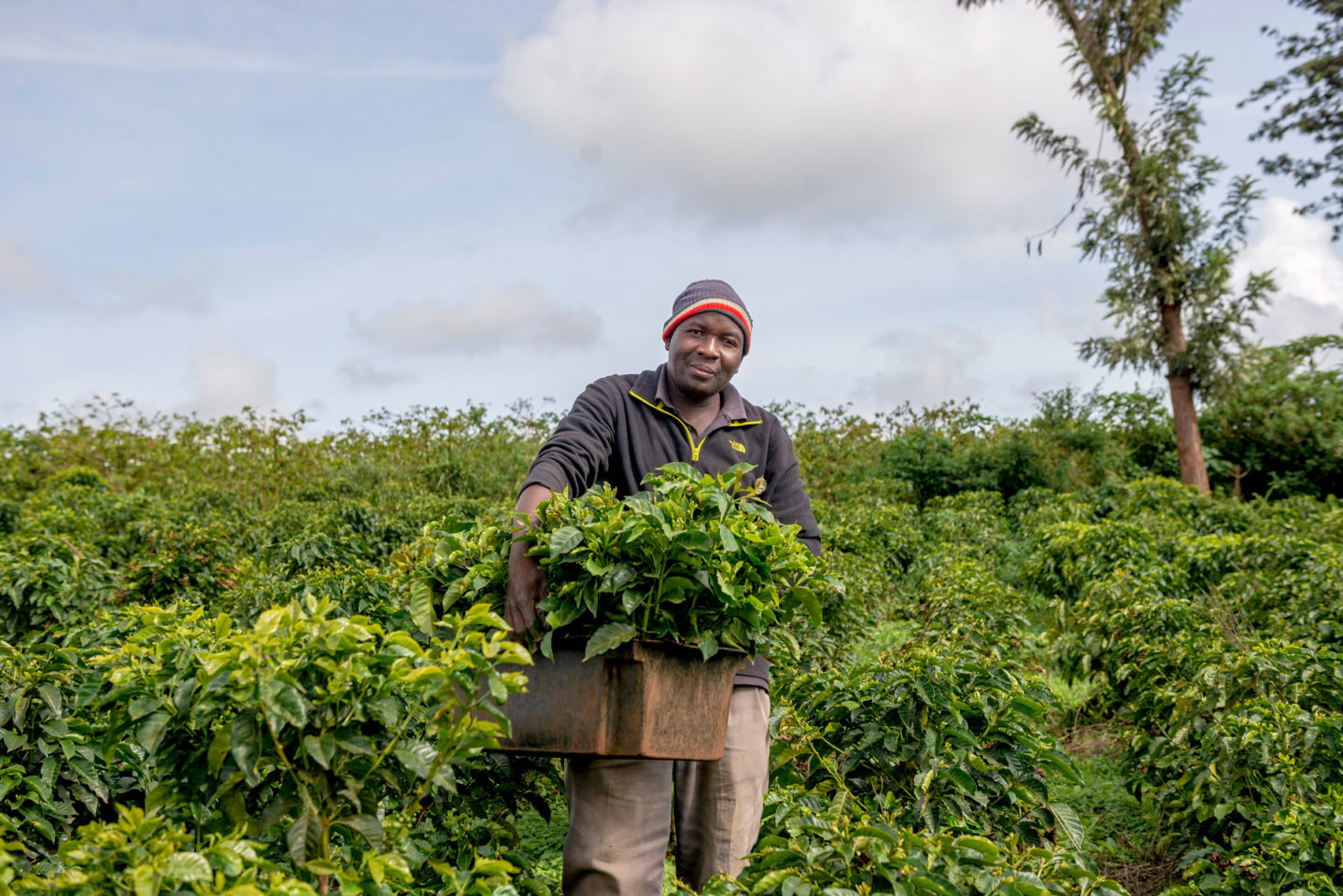 Latest – Global Coffee Platform