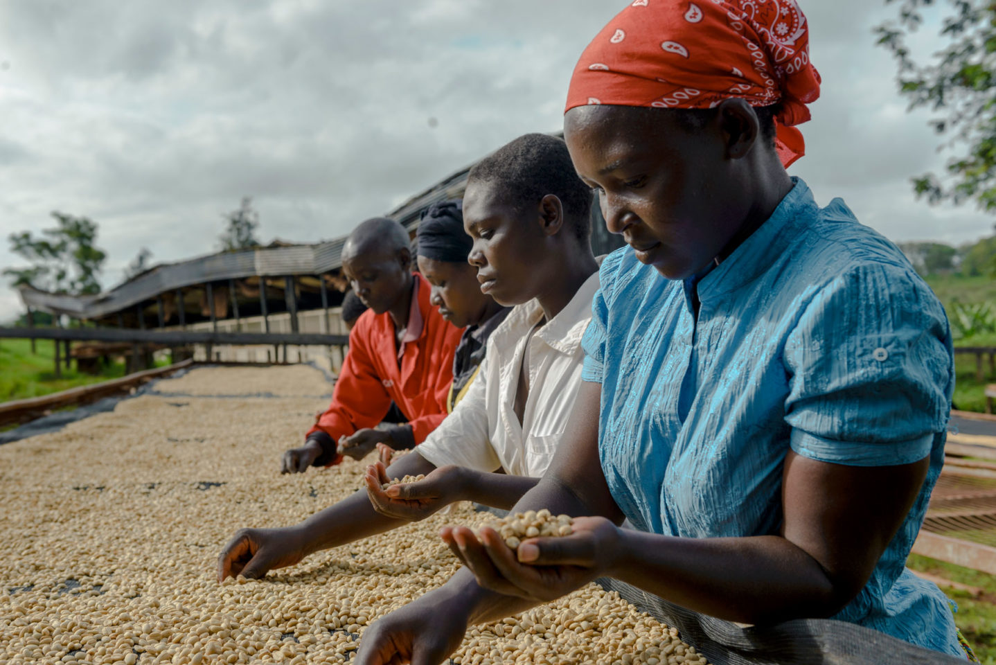 AFCA2024 – Improving Farmer Income: Experiences from Across the Globe ...