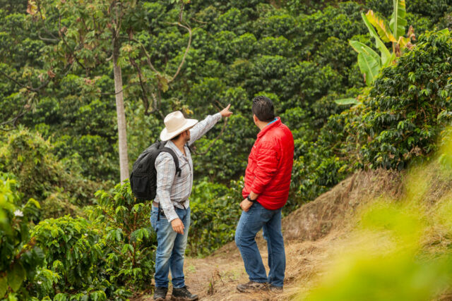 Global Coffee Platform – Collaborate with 140+ sustainability leaders ...