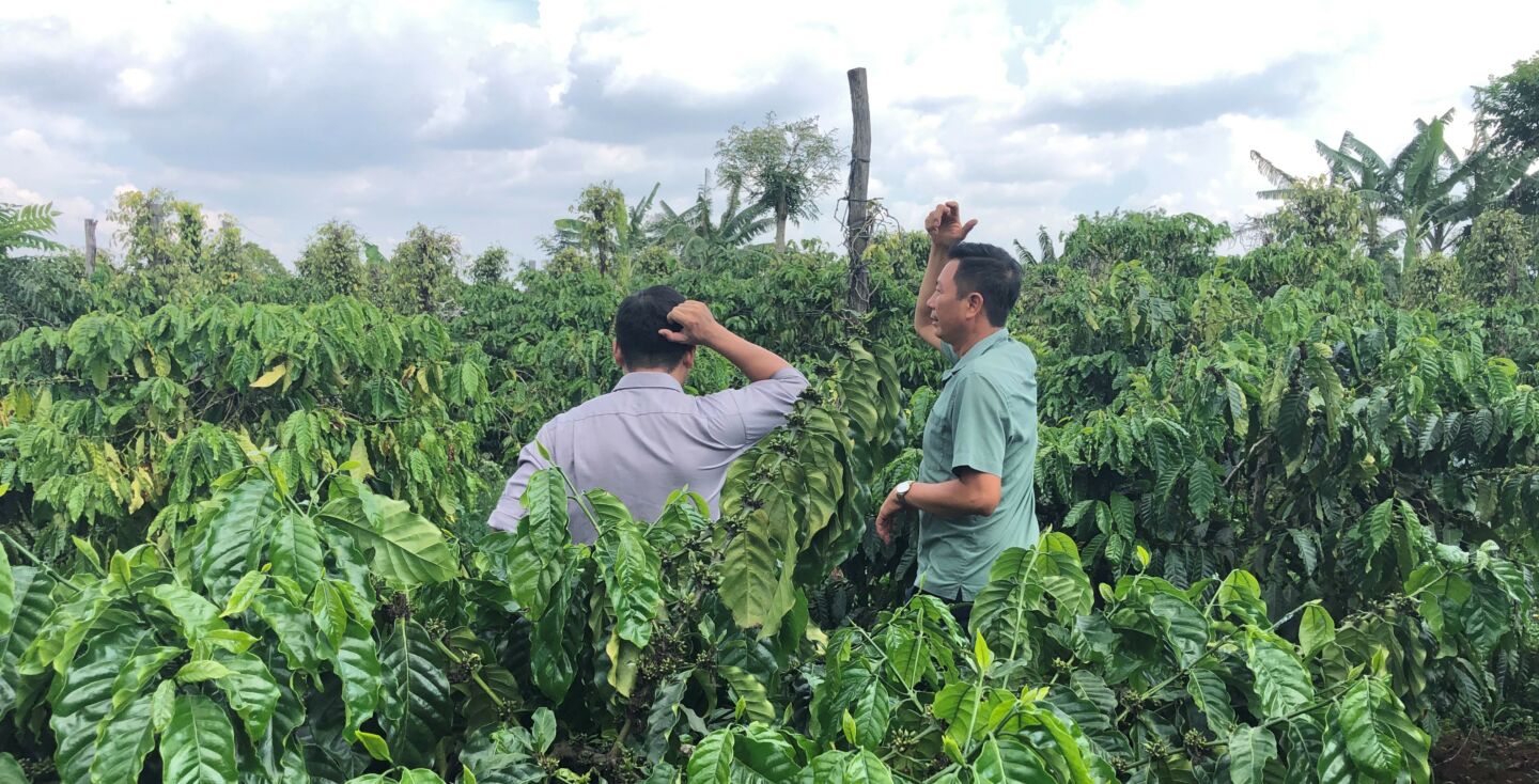 Global Coffee Platform – Collaborate with 140+ sustainability leaders ...