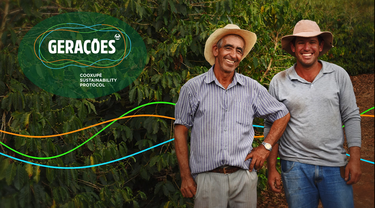 Meeting Members: Over a cup of coffee with Cooxupé – Global Coffee Platform