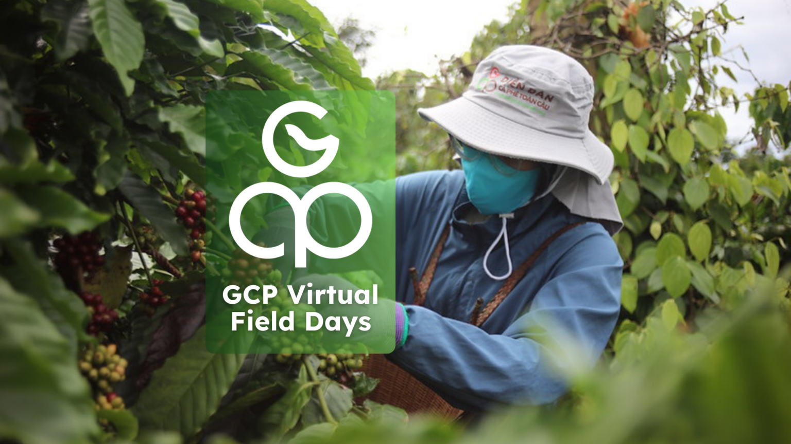 Vietnam – Global Coffee Platform