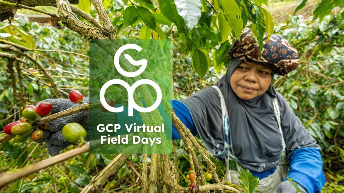 Global Coffee Platform – Collaborate with 140+ sustainability leaders ...