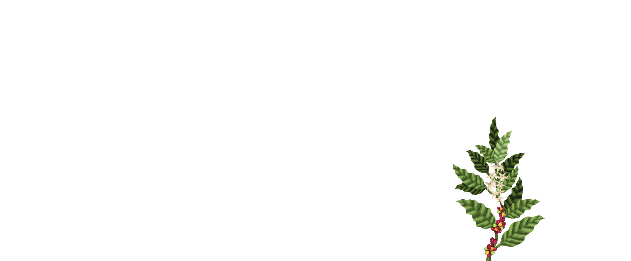 Meeting Members: RGC Coffe – Global Coffee Platform