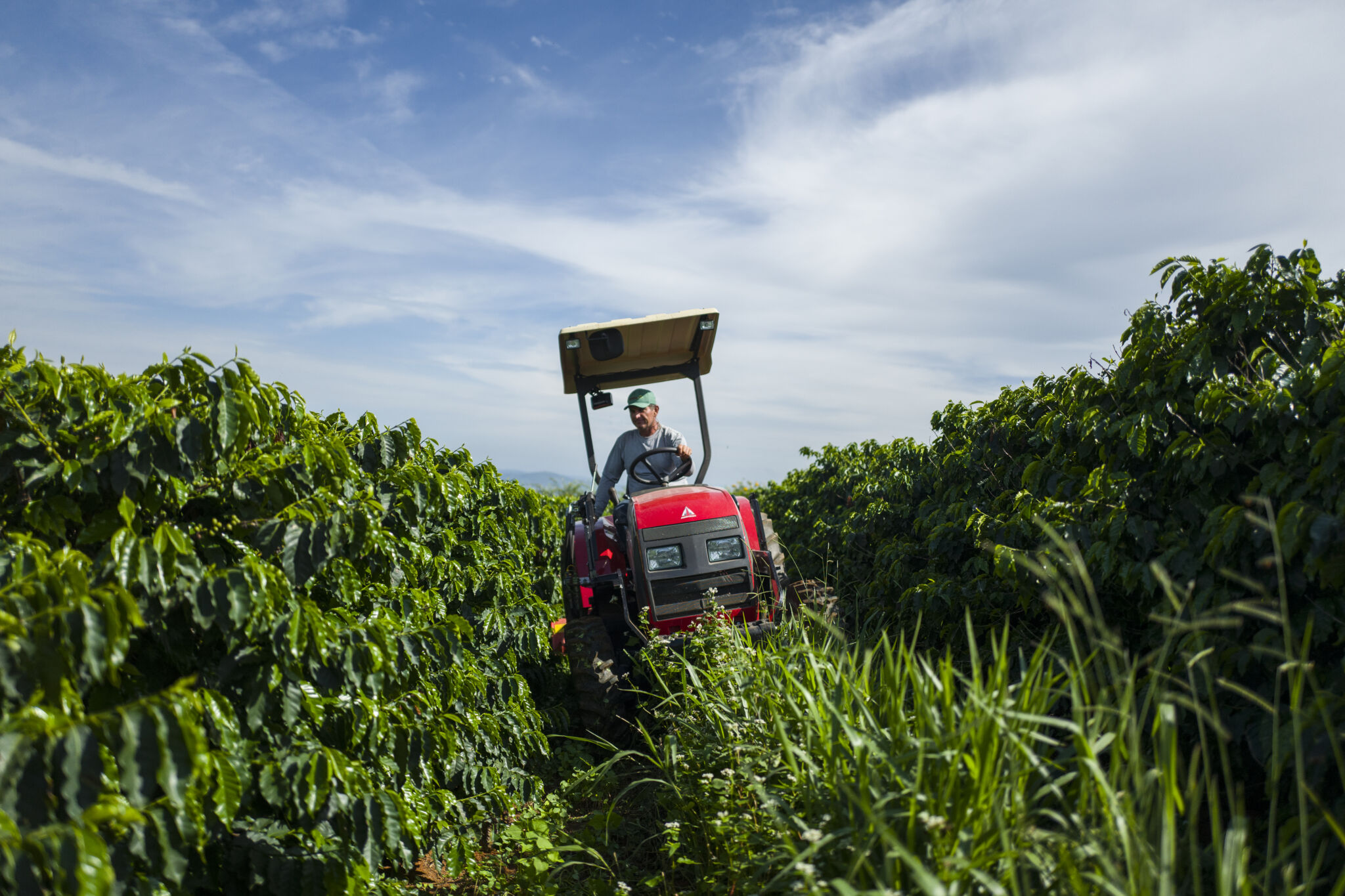 RegenCoffee – Global Coffee Platform